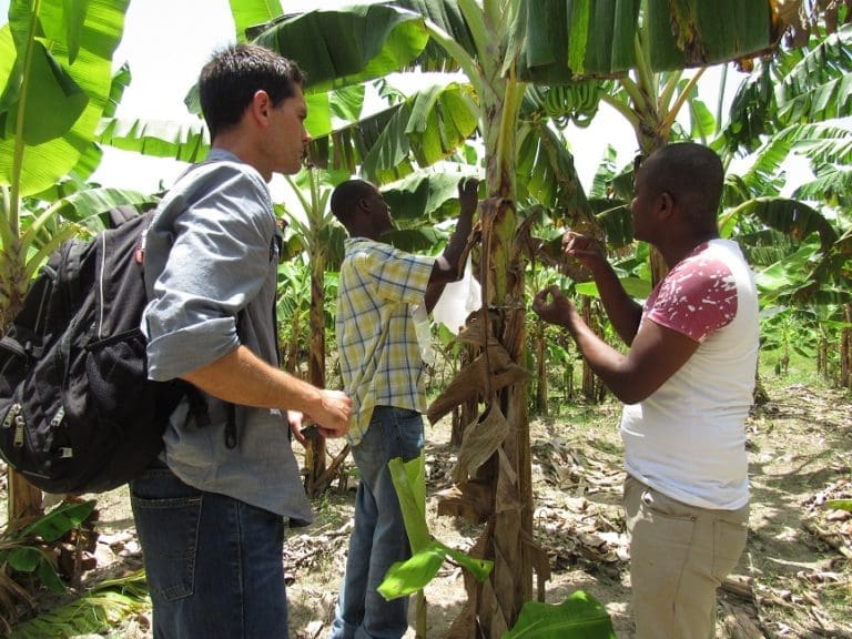 Haitian agricultural research and development – Garrett Lab